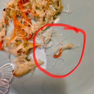 BANGKOK HOUSE THAI CUISINE - Updated February 2025 - 64 Photos & 85 ...