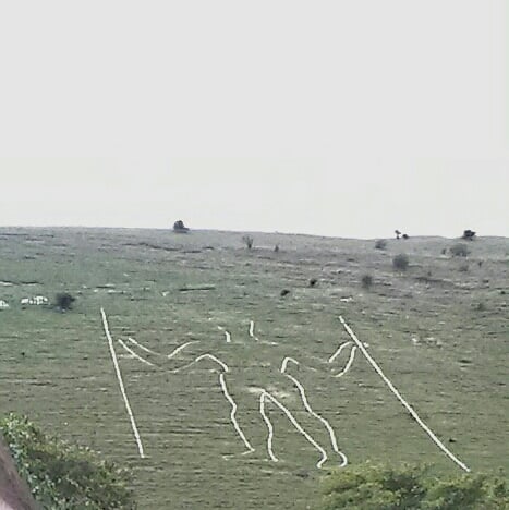 LONG MAN - Updated December 2024 - Polegate, East Sussex, United ...