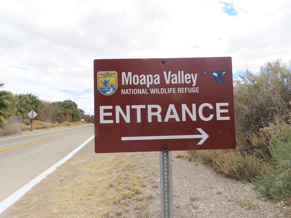 MOAPA VALLEY NATIONAL WILDLIFE REFUGE - 43 Photos - 4001 W Warm Springs ...