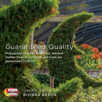 MOON VALLEY NURSERIES - Updated October 2025 - 32 Photos & 32 Reviews - 3200 Broadway, Riviera ...