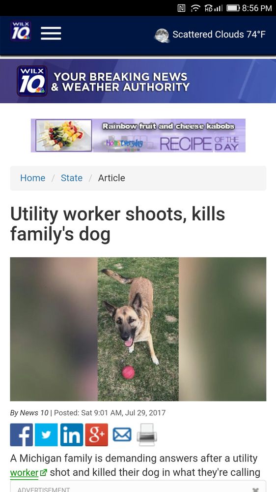 METRO ENGINEERING SOLUTIONS - Updated November 2024 - 6001 Schooner St ...