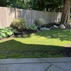 Best Yard Drainage Contractors Near Me - July 2025: Find Nearby Yard ...