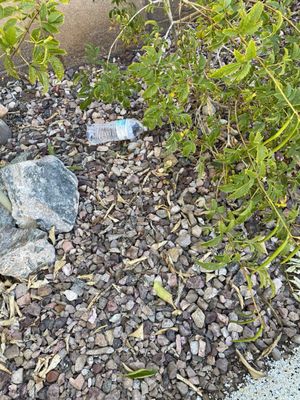 RUBBER STONE AZ - Updated December 2025 - 88 Photos & 44 Reviews ...