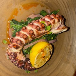 ATIK RESTAURANT - Updated July 2025 - 36 Photos & 11 Reviews - 555 City ...