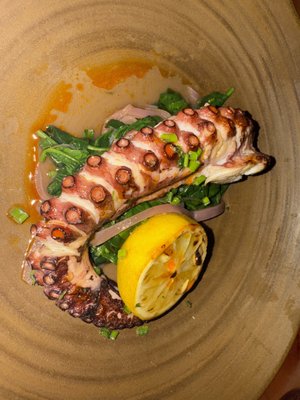 ATIK RESTAURANT - Updated July 2025 - 36 Photos & 11 Reviews - 555 City ...