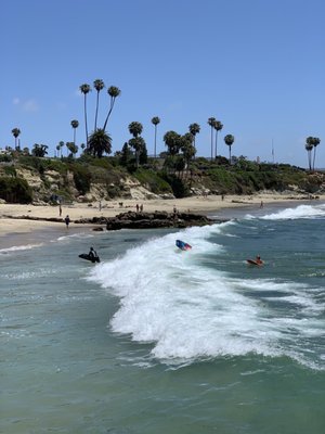 DIVERS COVE - Updated 2024 - 99 Photos & 15 Reviews - 631 Cliff Dr ...