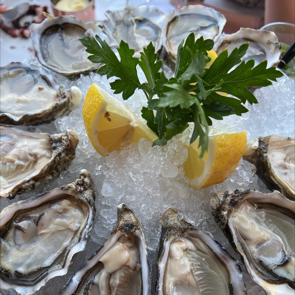 LE GALION - Nouveau Port de Menton, Menton, Alpes-Maritimes, France ...