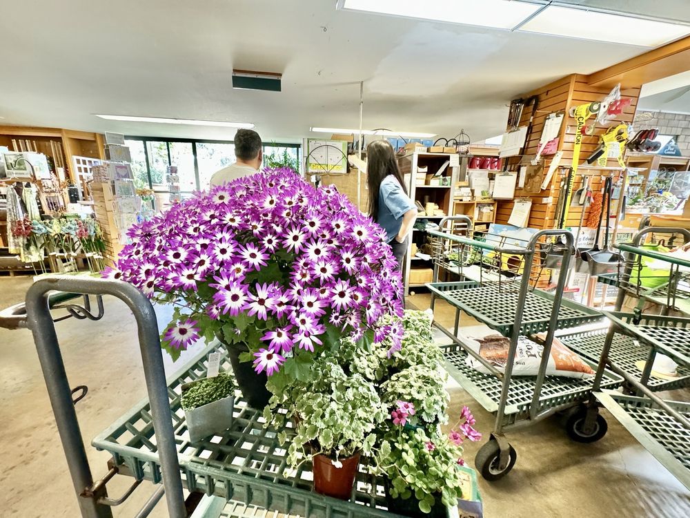 SLOAT GARDEN CENTER - Updated July 2024 - 359 Photos & 242 Reviews ...