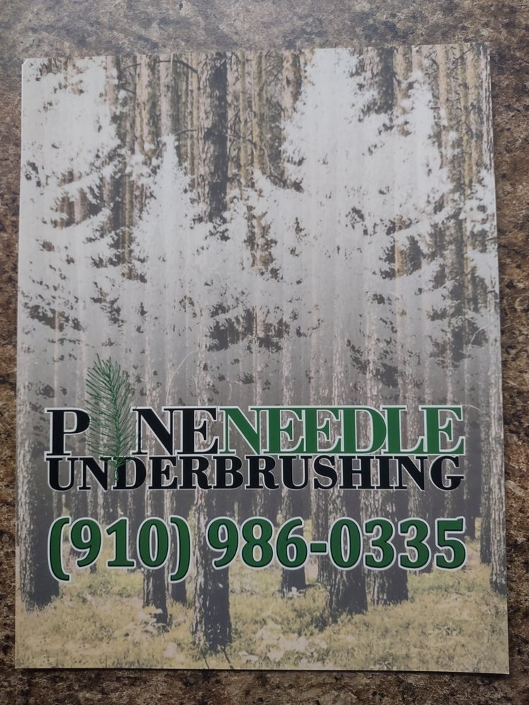 PINE NEEDLE UNDERBRUSHING - Updated December 2025 - 60 Photos - West ...