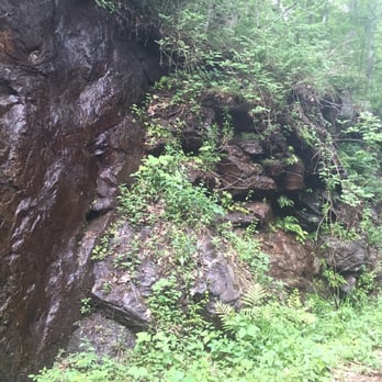 WINDHAM RAIL TRAIL - Updated October 2025 - 31 Photos & 19 Reviews - 6 ...