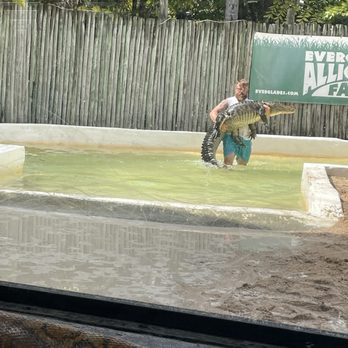 EVERGLADES ALLIGATOR FARM - Updated July 2025 - 941 Photos & 323 ...