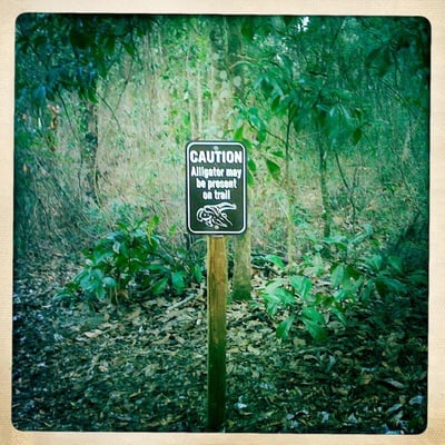 BIVENS ARM NATURE - 31 Photos - 3650 S Main St, Gainesville, Florida ...