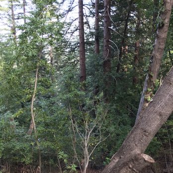 POGONIP - Updated January 2026 - 234 Photos & 42 Reviews - 333 Golf ...