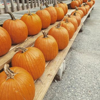 CIDER HILL FARM - Updated July 2025 - 404 Photos & 279 Reviews - 45 ...