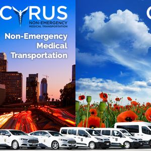 CALL THE CAR - Updated March 2025 - 46 Photos & 104 Reviews - 21950 ...