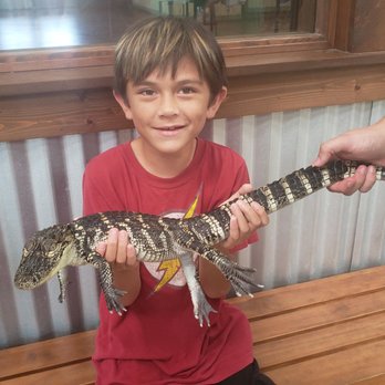 GATOR CHATEAU - Updated January 2025 - 166 Photos & 47 Reviews - 100 ...