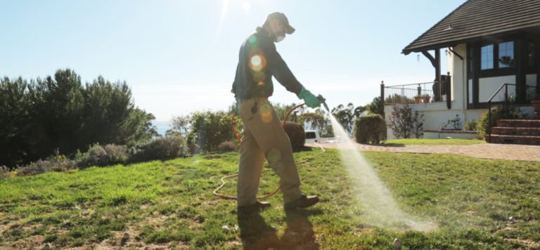 O’CONNOR PEST CONTROL - BAKERSFIELD - Updated October 2025 - 15 Reviews ...