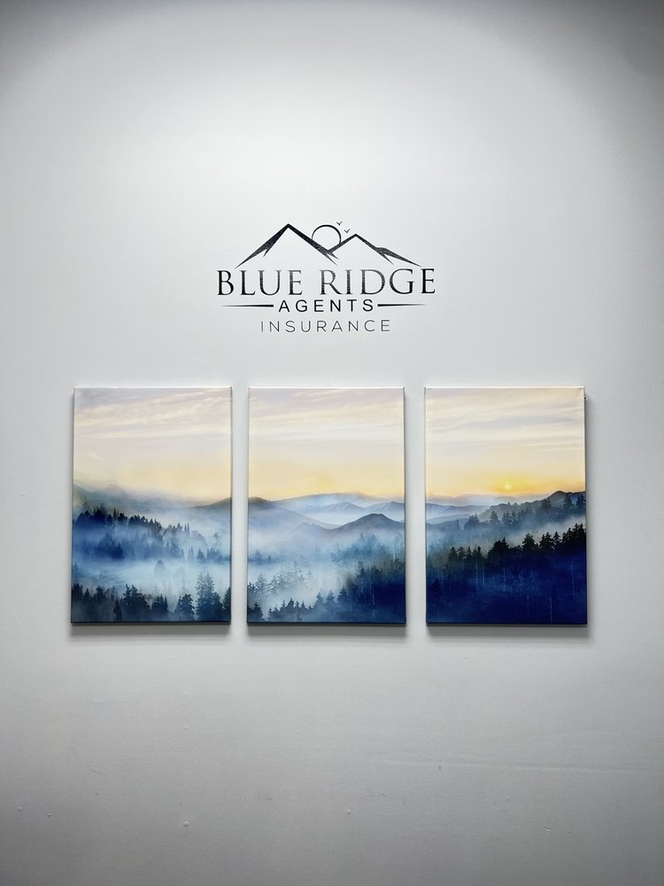 BLUE RIDGE AGENTS - Updated January 2026 - 11 Photos - 141 W Boscawen ...