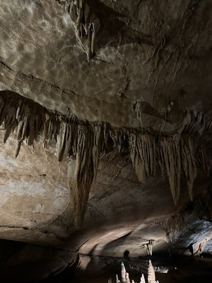 BLUESPRING CAVERNS PARK - Updated October 2025 - 165 Photos & 48 ...