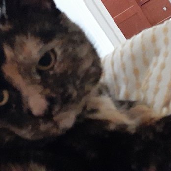 ADER PATRICIA DR - Updated October 2025 - 38 Reviews - 135 Meadow St ...