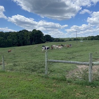 HOWLING COW DAIRY EDUCATION CENTER AND CREAMERY - Updated June 2024 ...