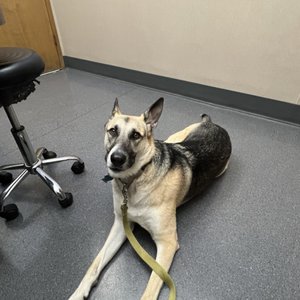 REID VETERINARY HOSPITAL - Updated December 2025 - 35 Reviews - 933 ...