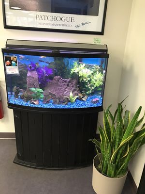 PATCHOGUE-MEDFORD LIBRARY - Updated September 2025 - 14 Photos & 11 ...