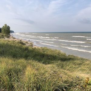 OVAL BEACH - 129 Photos & 80 Reviews - Beaches - 698 Water St ...