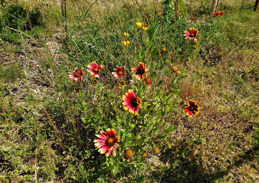 INFINITY HILL - Updated October 2025 - 12 Photos - 200 Stanly Crossroad ...