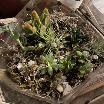 ROSE BRIDGE FARM & SANCTUARY - Updated September 2025 - 240 Photos & 86 ...