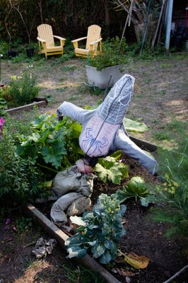 UC ELKUS RANCH ENVIRONMENTAL EDUCATION CENTER - Updated October 2024 ...