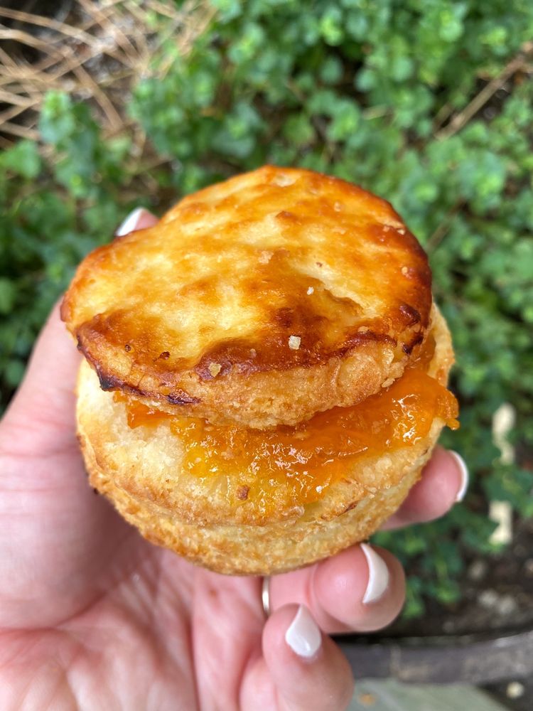 SANDPIPER BAKERY - Updated August 2024 - 29 Photos & 65 Reviews - 29 ...