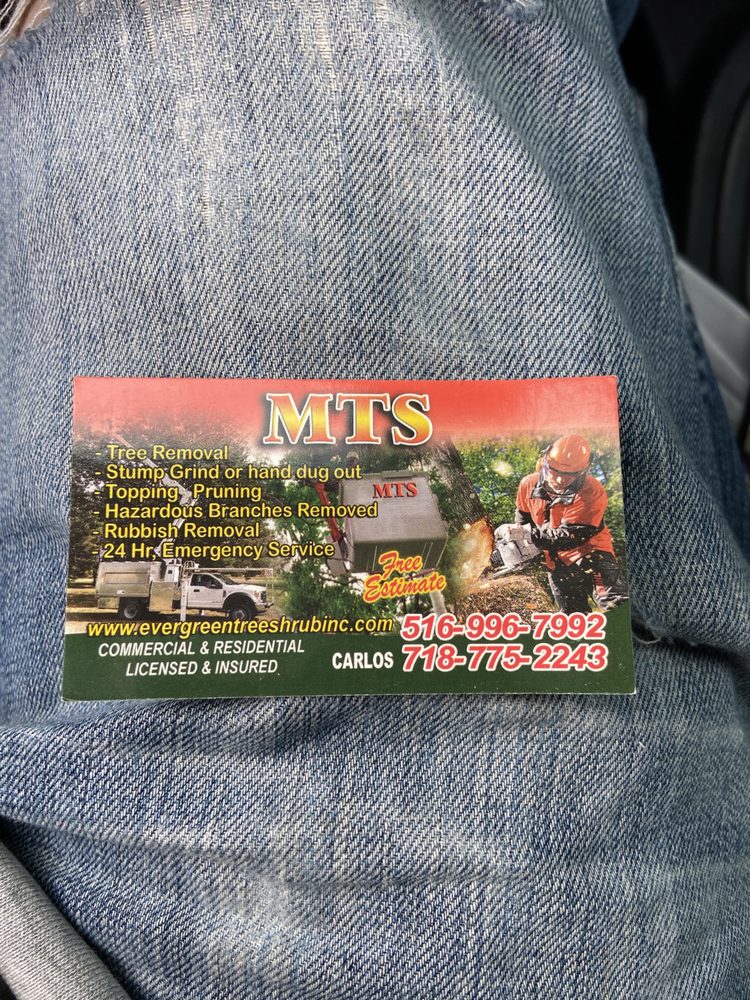 METROPOLITAN TREE EXPERTS CORP - Updated July 2025 - 12 Photos - 228-20 ...