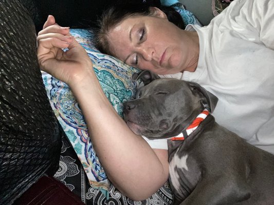 BELOIT ANIMAL HOSPITAL - Updated December 2025 - 33 Photos & 33 Reviews ...