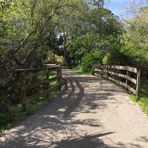 SUGDEN REGIONAL PARK - 29 Photos - Playgrounds - 4284 Avalon Dr, Naples ...