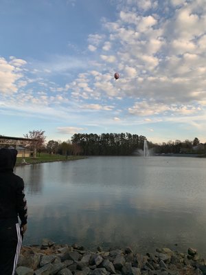 PINEVILLE LAKE PARK - 57 Photos & 13 Reviews - Parks - 1000 Johnston Dr ...