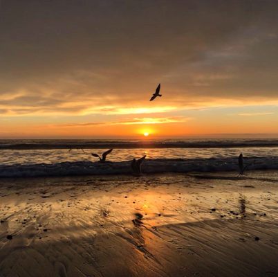 CASSIDY BEACH - 32 Photos & 10 Reviews - Oceanside, California ...