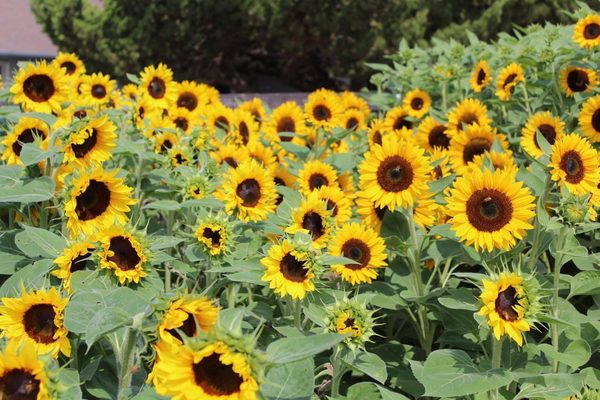 GAMBONINI FAMILY RANCH - Updated October 2024 - 12 Photos - 7149 Old ...