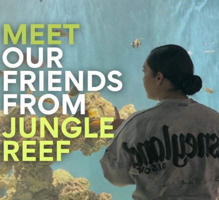 JUNGLE REEF - Updated September 2025 - 29 Photos & 26 Reviews - 750 ...