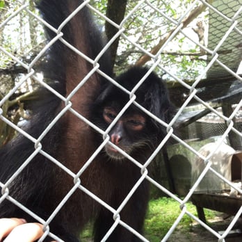OCTAGON WILDLIFE SANCTUARY - Updated April 2024 - 178 Photos & 40 ...