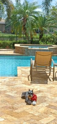 BOSS THE PET CONNECTION - Updated December 2025 - 128 Photos & 44 ...