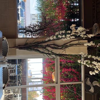 LAYAL CAFE CREPERIE AND BANQUET - 1619 Photos & 169 Reviews - 6328 ...