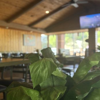 MASALA HOUSE - Updated June 2025 - 50 Photos & 66 Reviews - 126 E ...