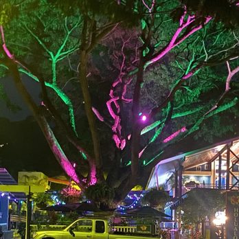 HOLUALOA GARDEN & KITCHEN - Updated March 2025 - 117 Photos & 51 ...