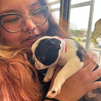 PERFECT PETS - Updated January 2026 - 68 Photos & 103 Reviews - 6840 S ...