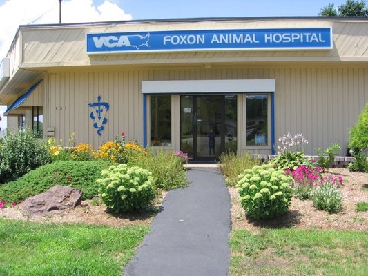 VCA FOXON ANIMAL HOSPITAL - Updated December 2025 - 20 Photos & 22 ...