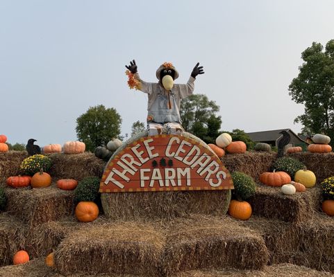 THREE CEDARS FARM - 341 Photos & 124 Reviews - 7897 Six Mile Rd ...