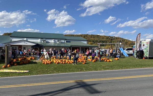 WAY FRUIT FARM - Updated November 2024 - 68 Photos & 42 Reviews - 2355 ...