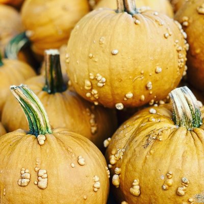 SPRING MEADOWS FARM - Updated November 2025 - 139 Photos - 15513 ...