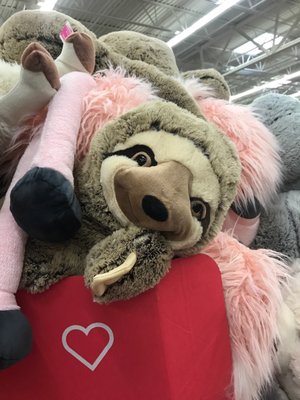 WALMART SUPERCENTER - 27 Photos & 54 Reviews - 3435 East Broadway Blvd ...